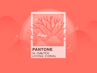 Pantone Makes a Splash with Living Coral: How to Incorporate the ...